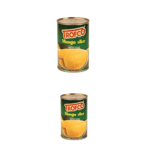 Mango konservesi tropikal meyve 425 g* 2 adet