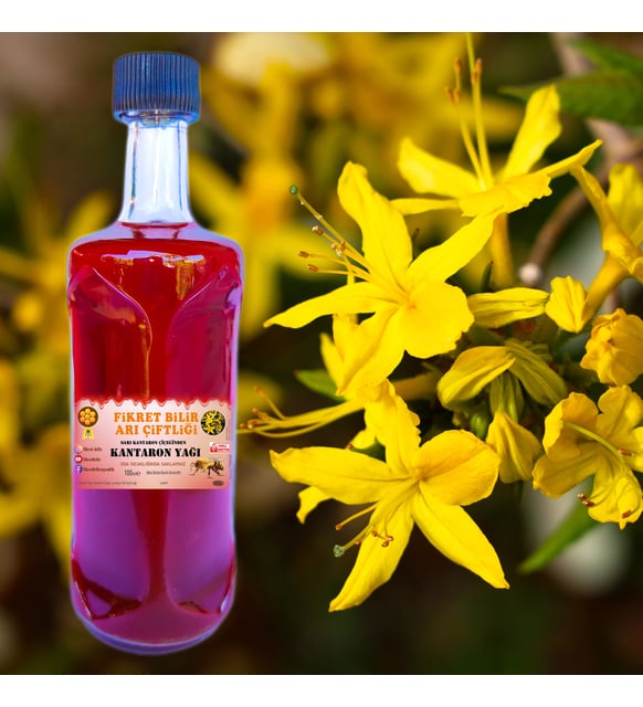 Sarı Kantaron Çiçeği Kızıl Yağı 100 ml