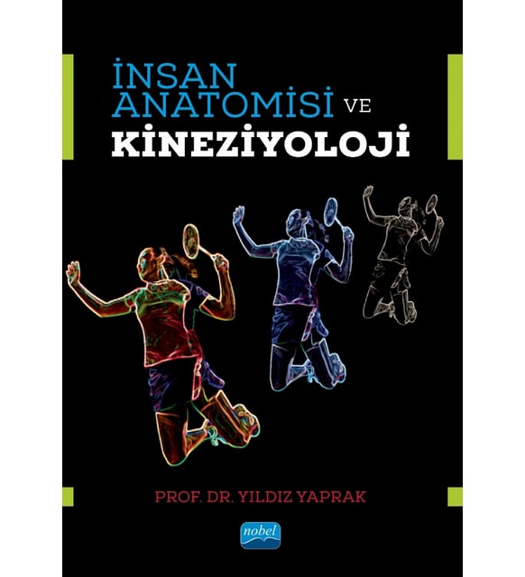 İnsan Anatomisi ve Kineziyoloji