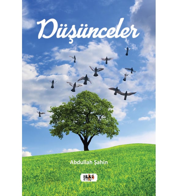 Düşünceler - Abdullah Şahin